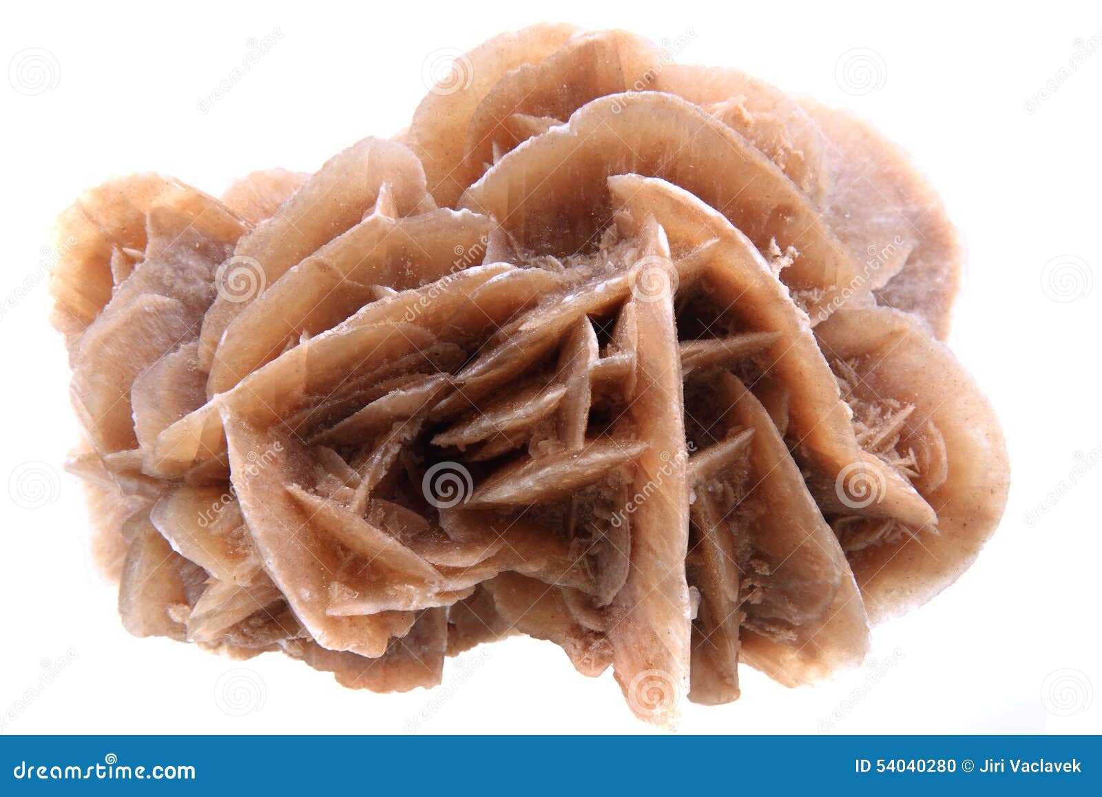 Desert Rose Mineral Isolated Stock Photo - Image of sahara, textured ...