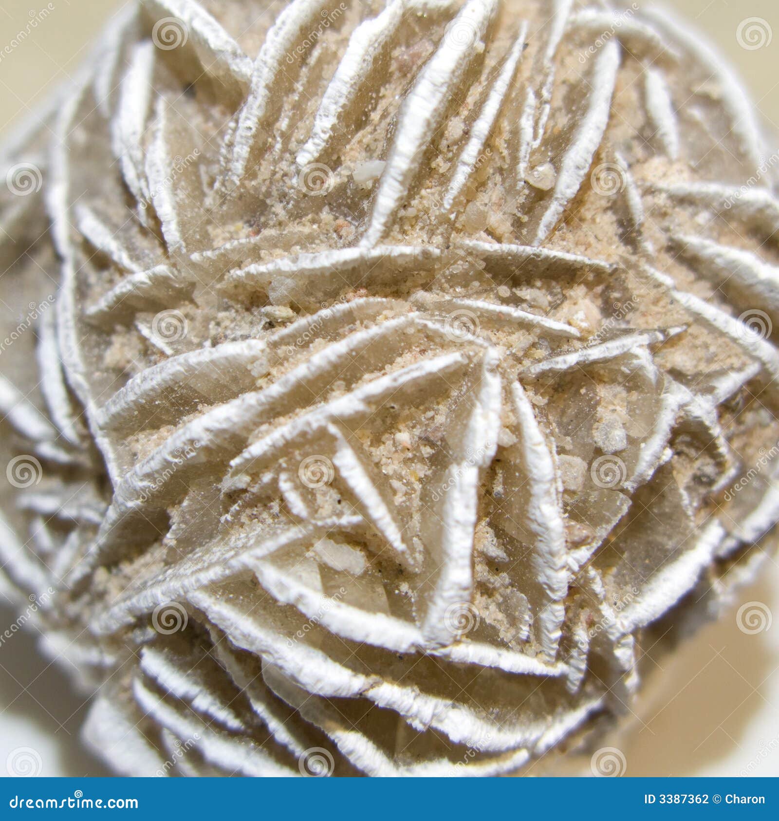 Desert Rose Rosette Crystal Closeup Stock Photo - Image of forming ...