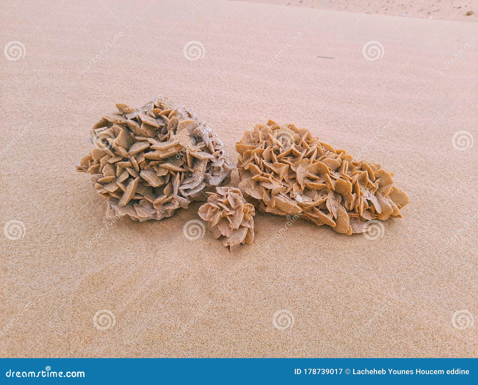 Desert Rose in Sahara Desert of Algeria Stock Image - Image of ...