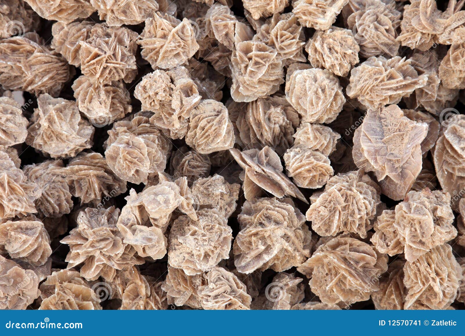 Desert Roses Form Crystallize As Minerals In Layers Of Sand Or Soil ...