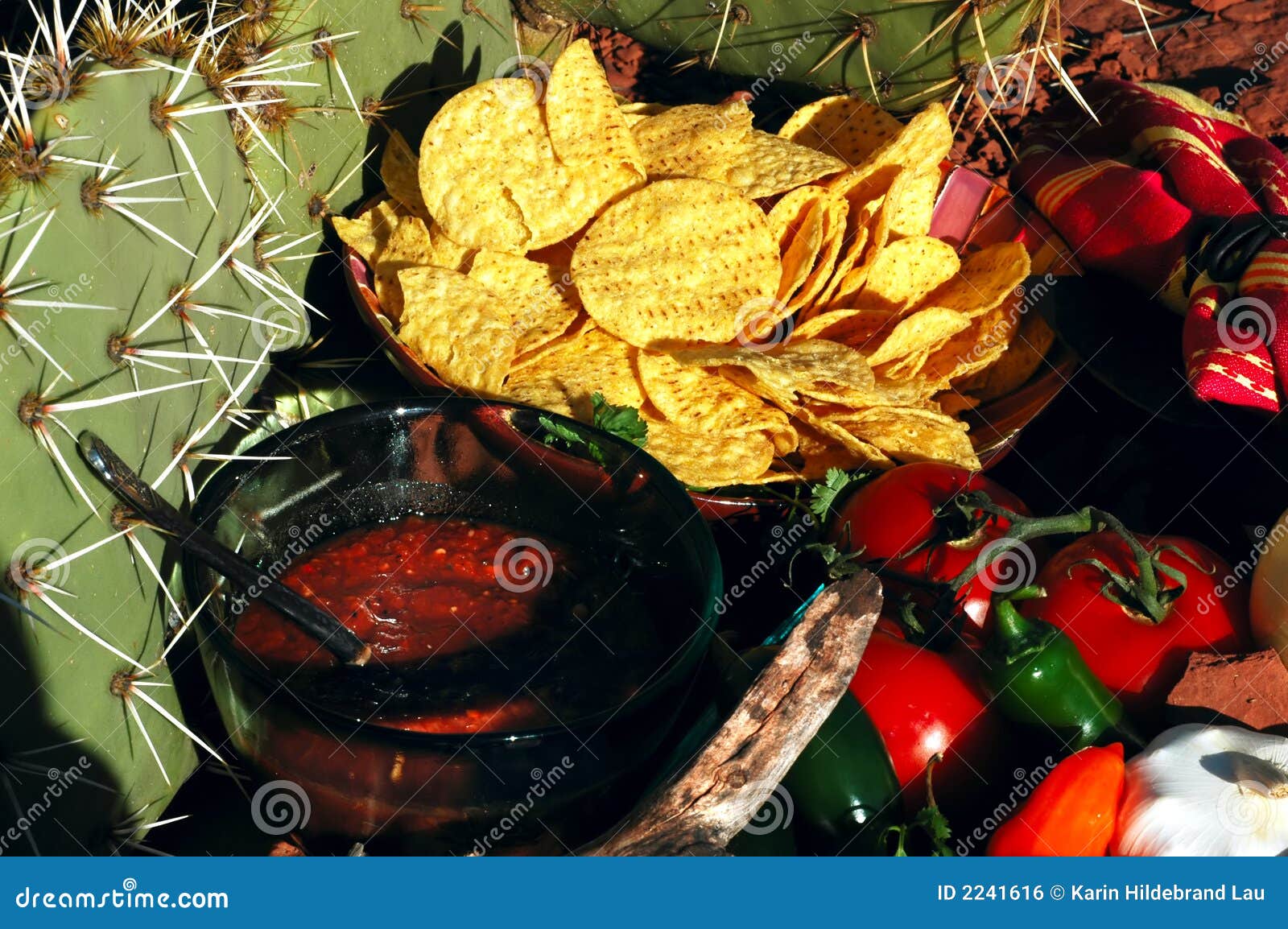 Desert Salsa & Chips stock photo. Image of dining - 2241616