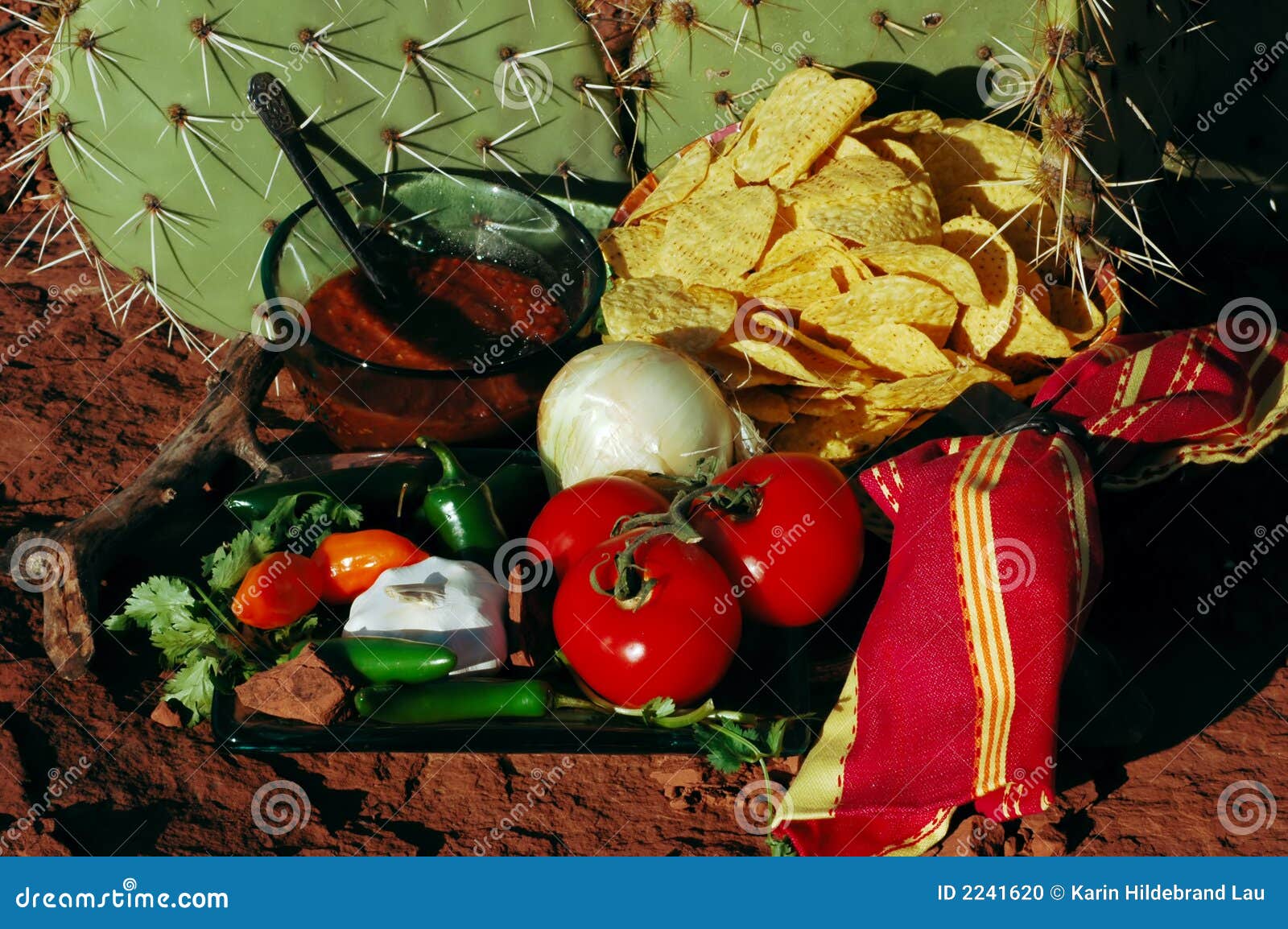 Desert Salsa & Chips stock photo. Image of cuisine - 2241620