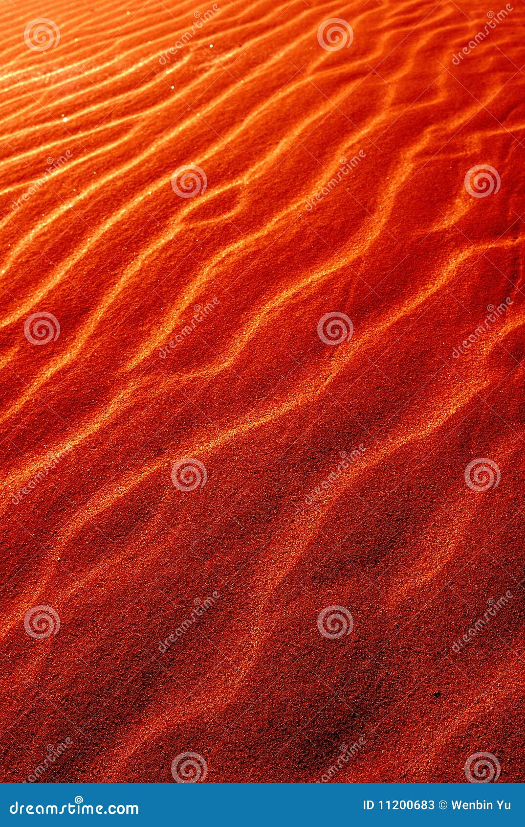 Desert, sand stock image. Image of scenic, alone, outdoor - 11200683