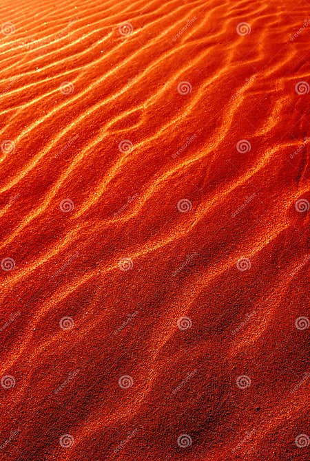 Desert, sand stock image. Image of scenic, alone, outdoor - 11200683