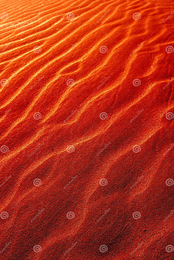 Desert, sand stock image. Image of scenic, alone, outdoor - 11200683