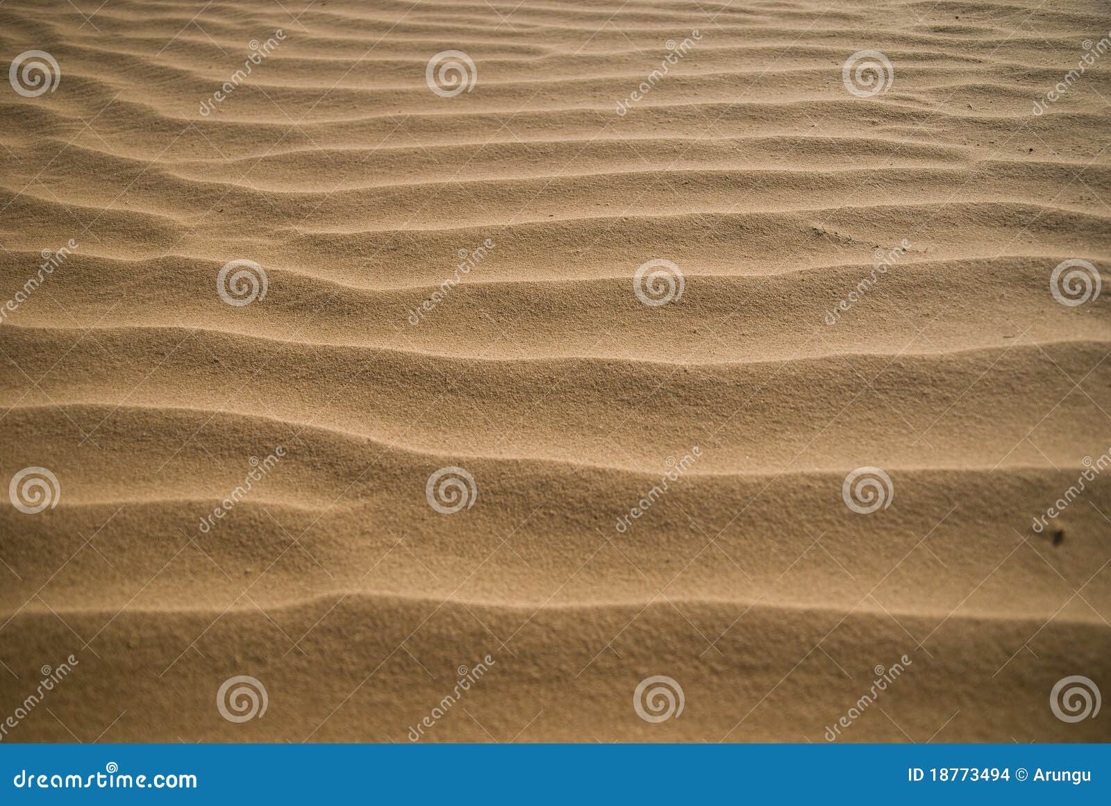 Desert sand stock photo. Image of hill, tourism, prints - 18773494