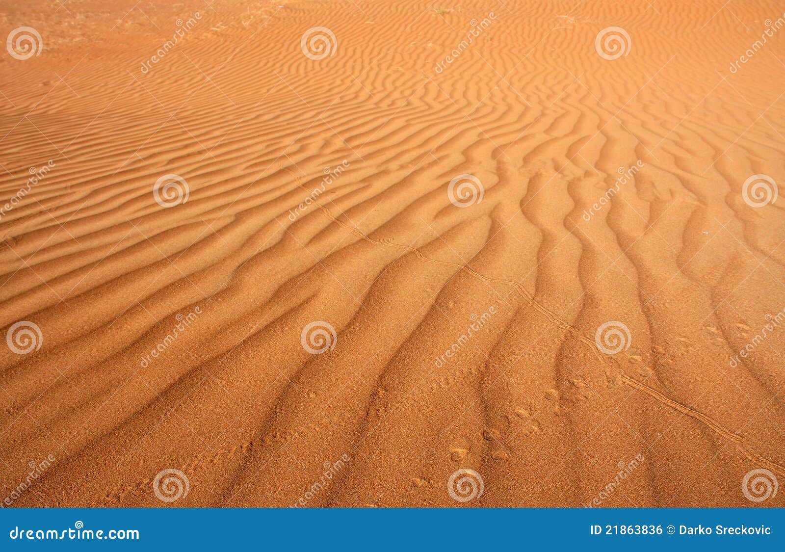 Desert sand stock photo. Image of outdoors, sandy, earth - 21863836