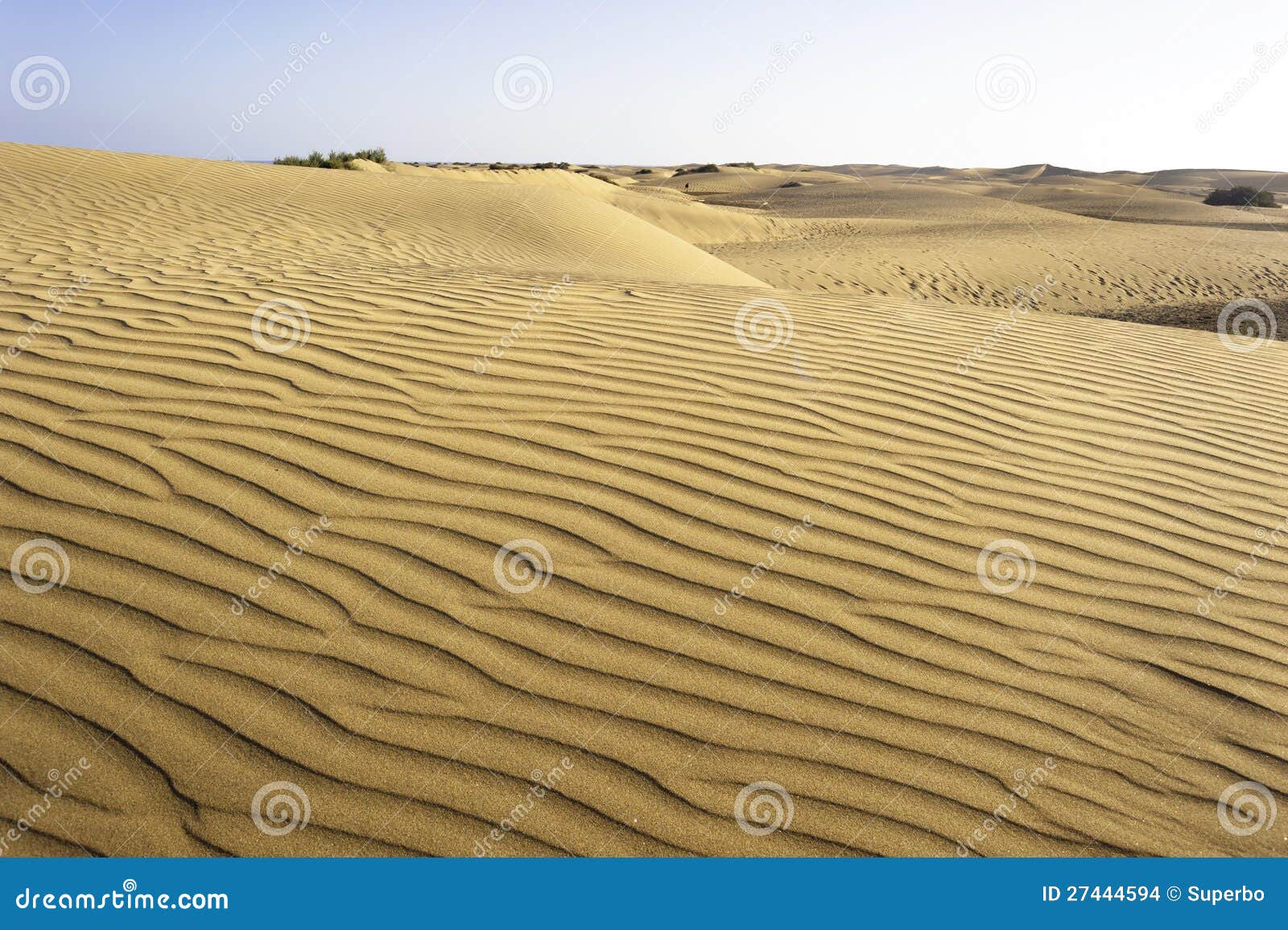 Desert sand stock photo. Image of sahara, dene, hike - 27444594