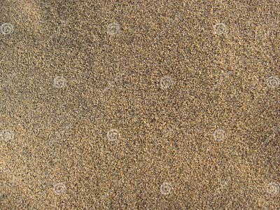 Desert sand stock image. Image of detail, environment, hardness - 423497
