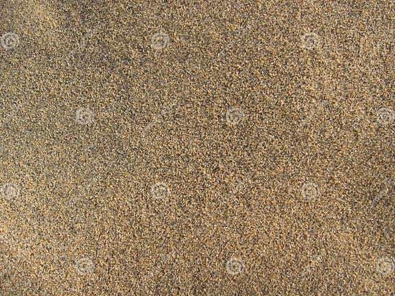 Desert sand stock image. Image of detail, environment, hardness - 423497
