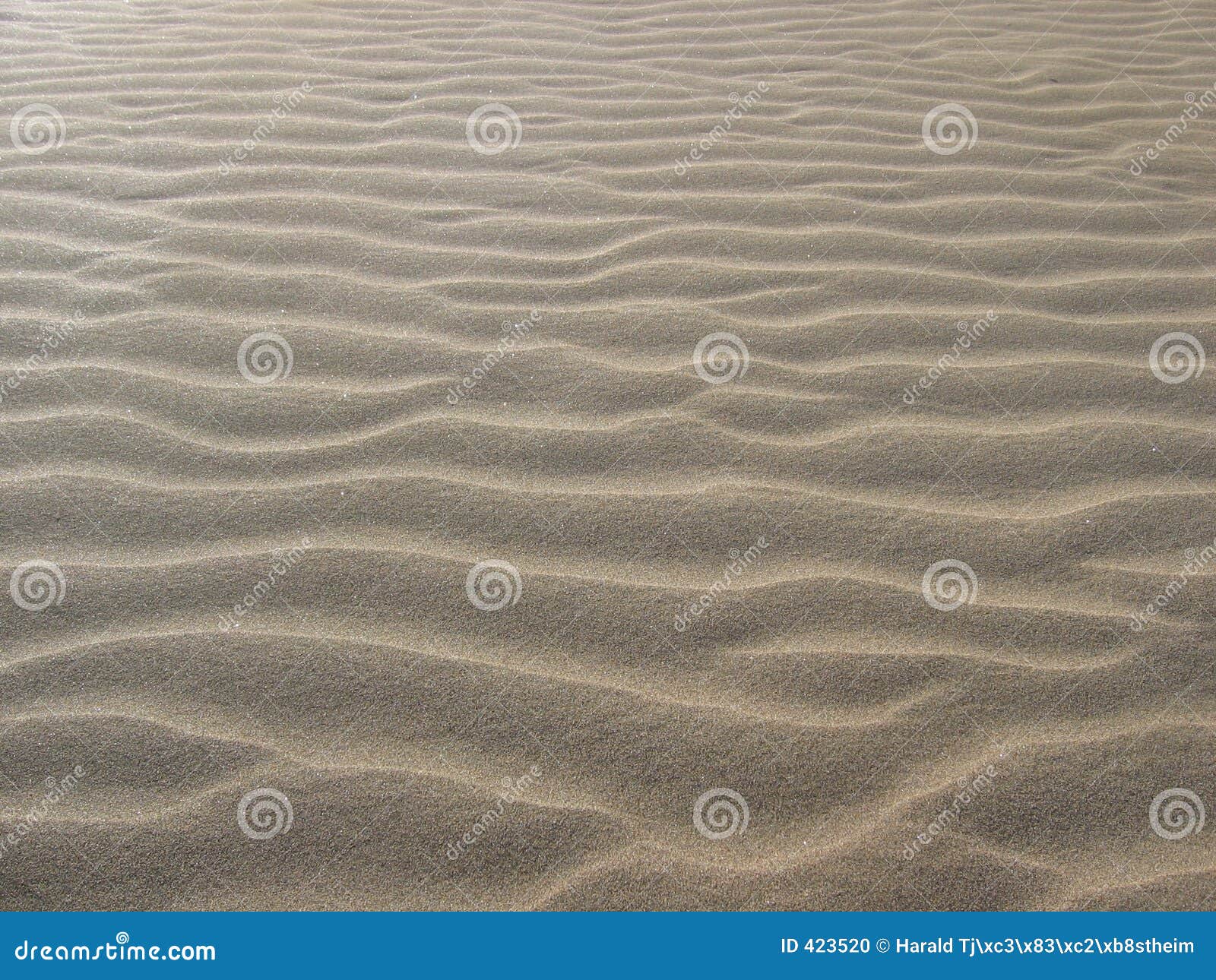 Desert sand stock photo. Image of outdoor, nature, durability - 423520