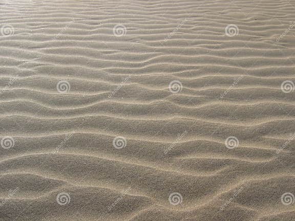 Desert sand stock photo. Image of outdoor, nature, durability - 423520