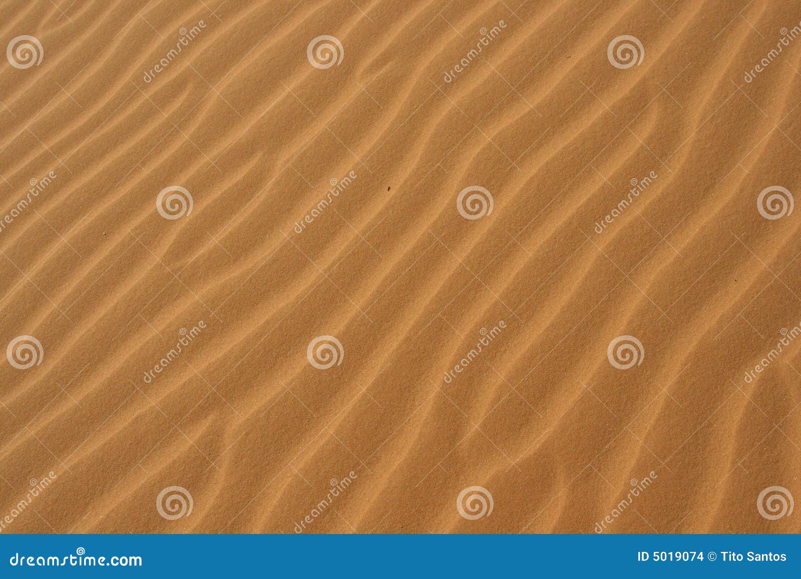 Desert Sand stock photo. Image of texture, vietnam, travel - 5019074