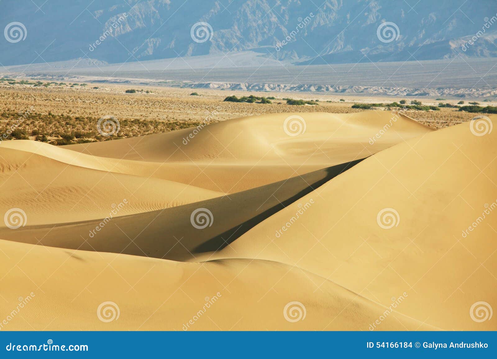Desert stock photo. Image of hummock, africa, nature - 54166184