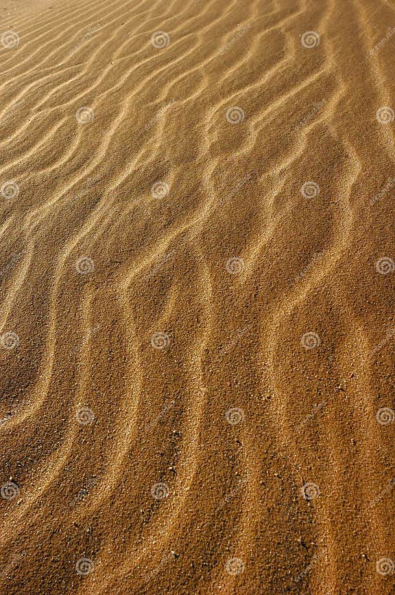 Desert sand stock image. Image of freedom, environment - 9073717