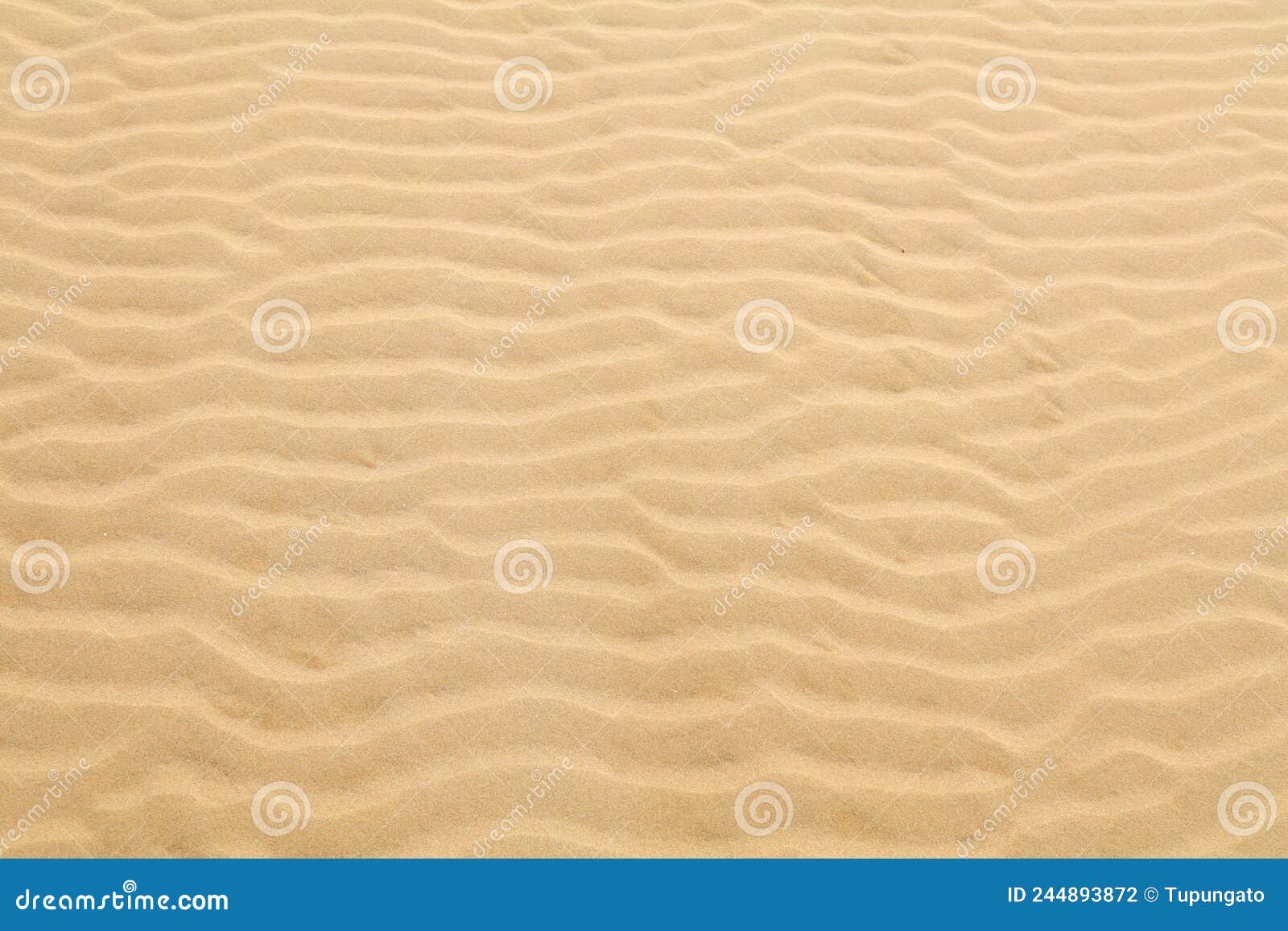 Desert sand background stock photo. Image of ripple - 244893872
