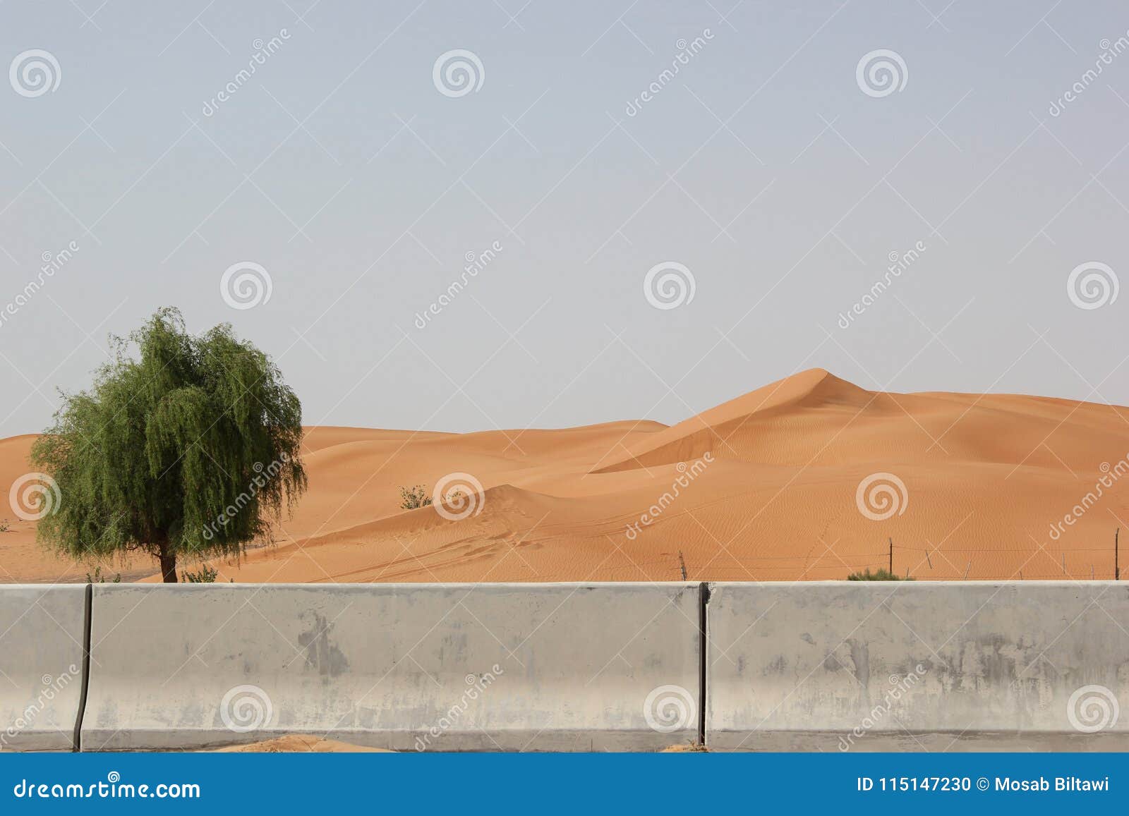 Desert Sand Barrier Stop Desertification Stock Photo - Image of ...
