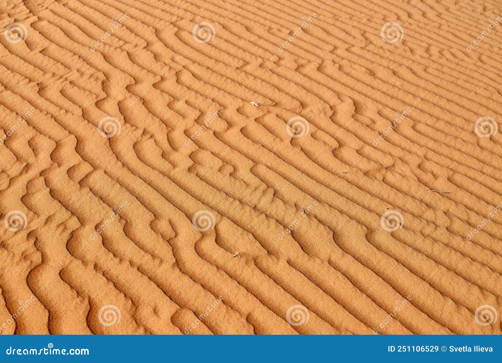 Desert sand close-up stock image. Image of texture, curved - 251106529