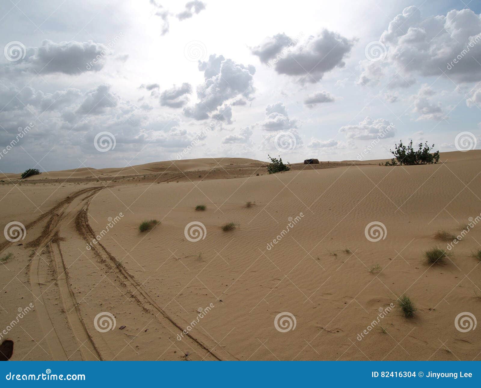 Desert stock photo. Image of sandbar, outdoors, dirt - 82416304