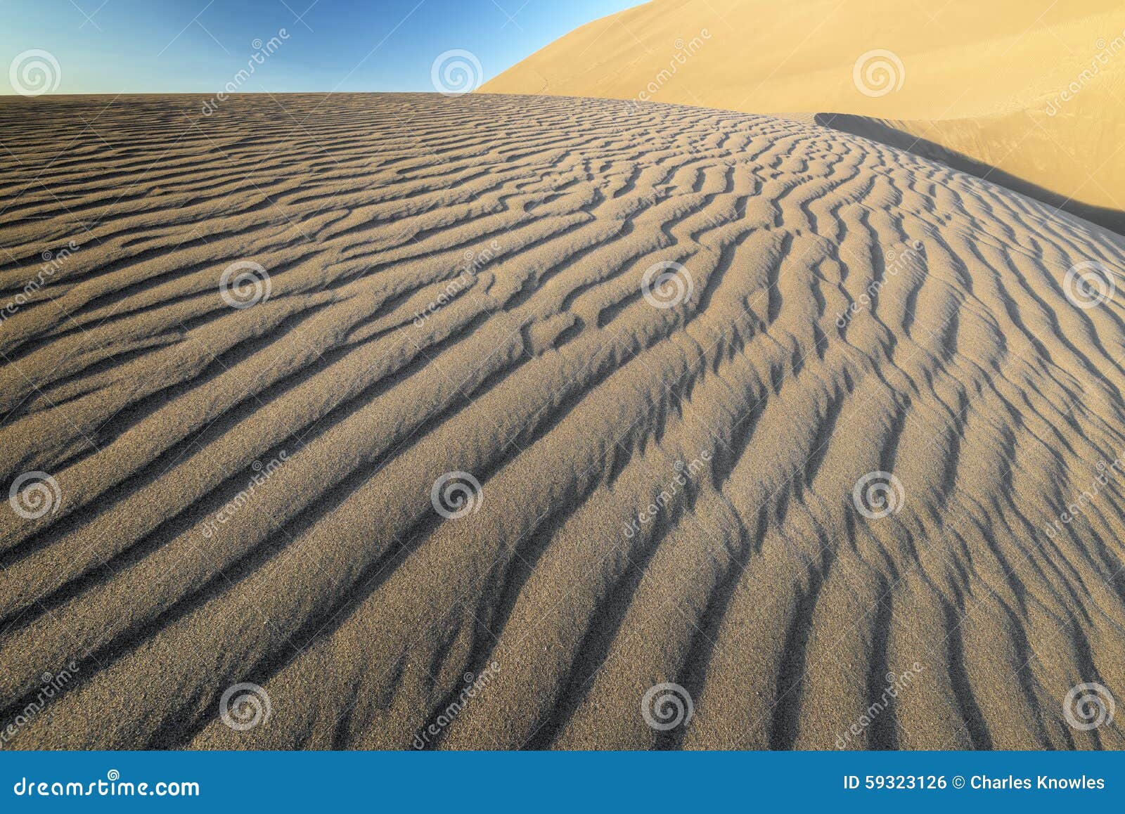 Desert Sand Dune with Ripple Shadows Stock Photo - Image of dunes ...
