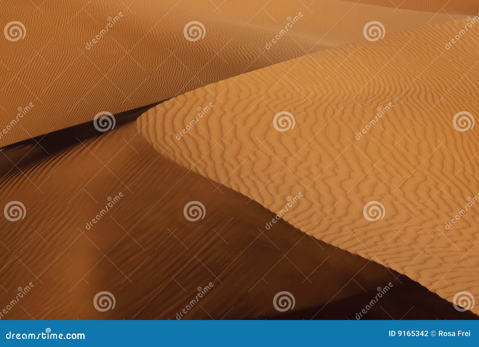 Desert Sand Dune with Shadow Stock Photo - Image of freedom, africa ...