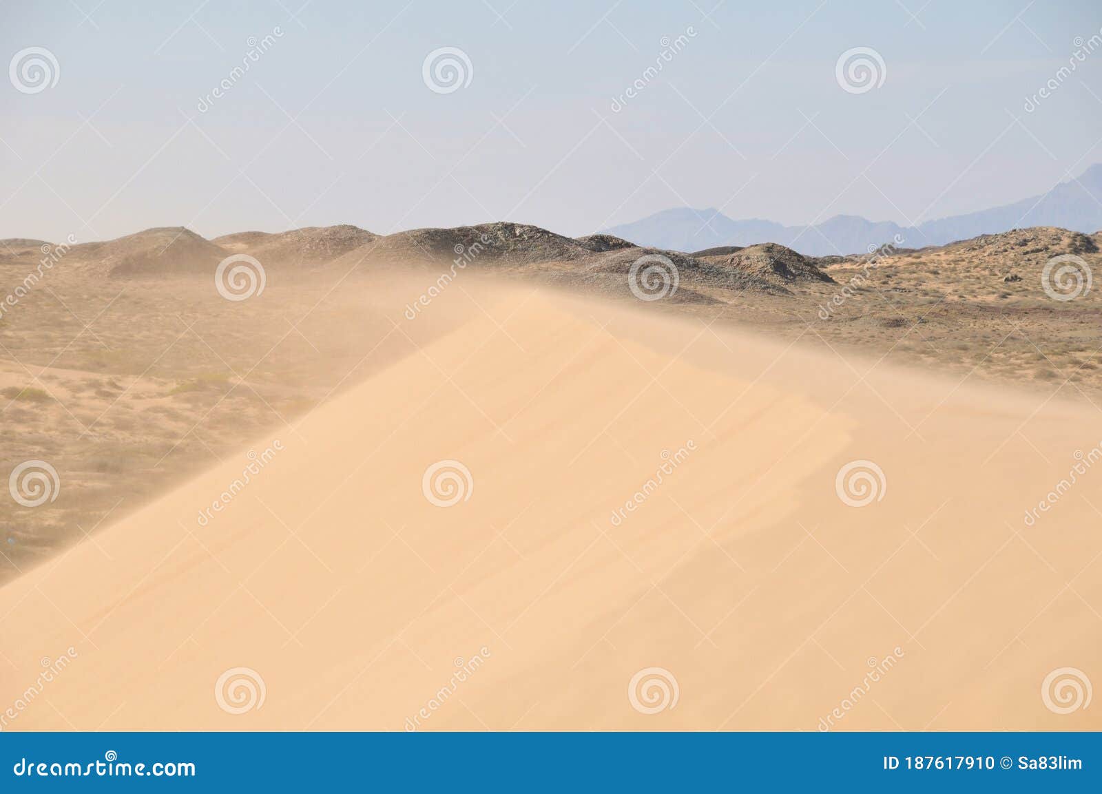 Desert Sand Dunes, Middle East, Oman Stock Photo - Image of eastoman ...