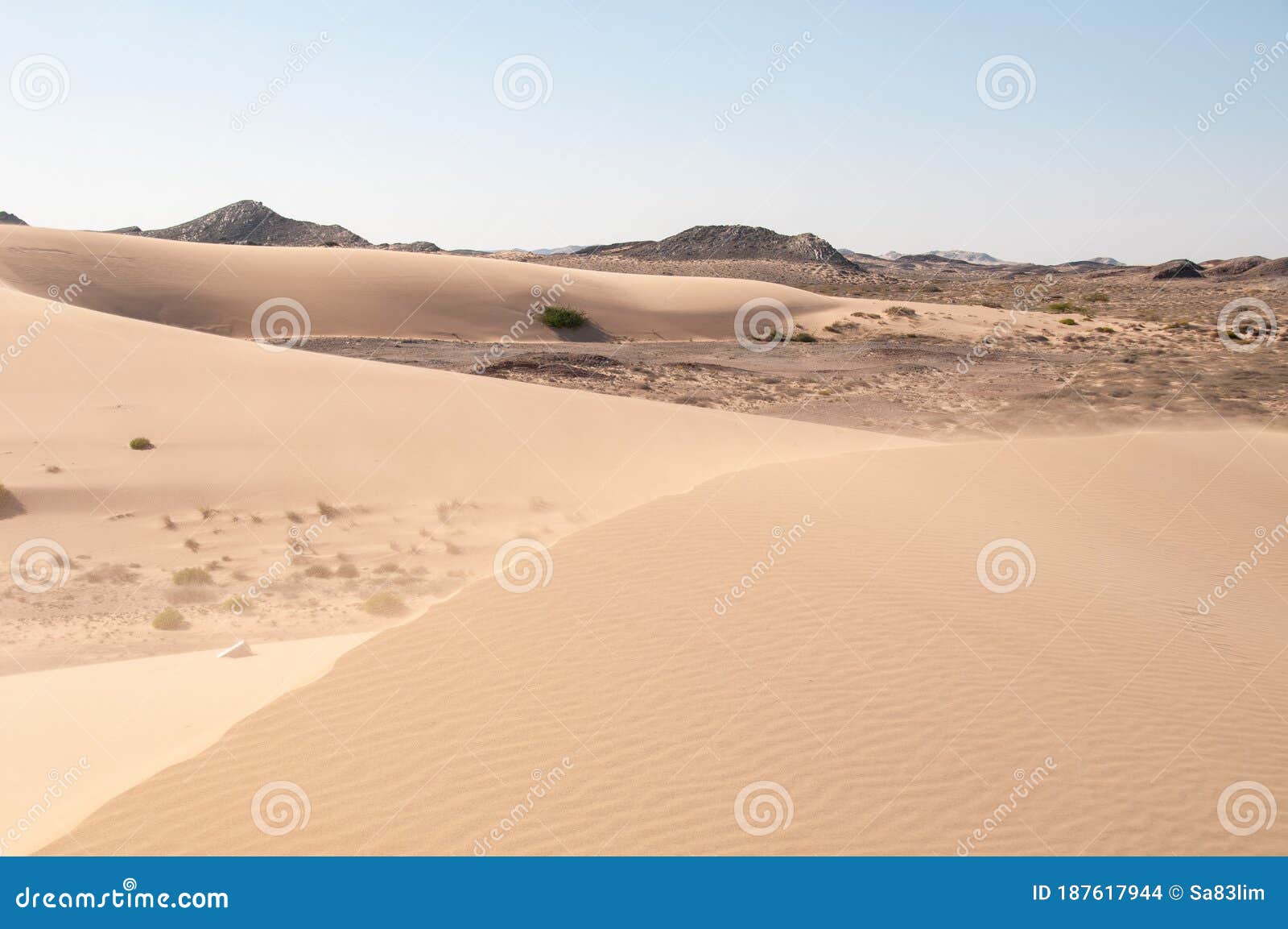 Desert Sand Dunes, Middle East, Oman Stock Photo - Image of storm, sand ...
