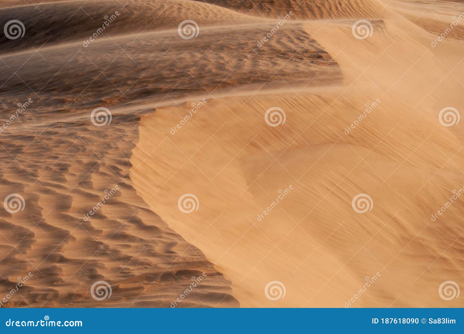 Desert Sand Dunes, Middle East, Oman Stock Photo - Image of sahara ...