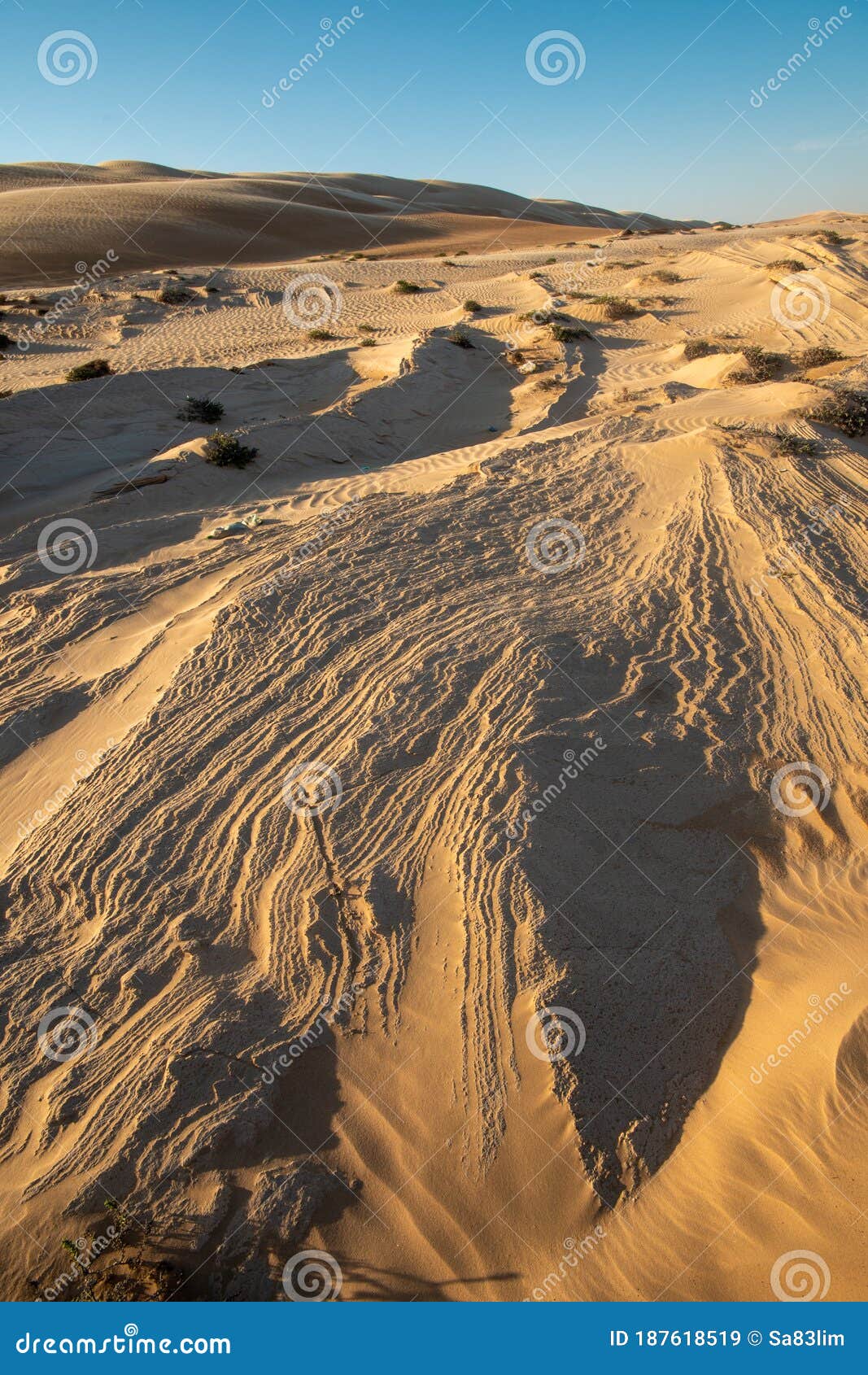 Desert Sand Dunes, Middle East, Oman Stock Image - Image of sand, sandy ...