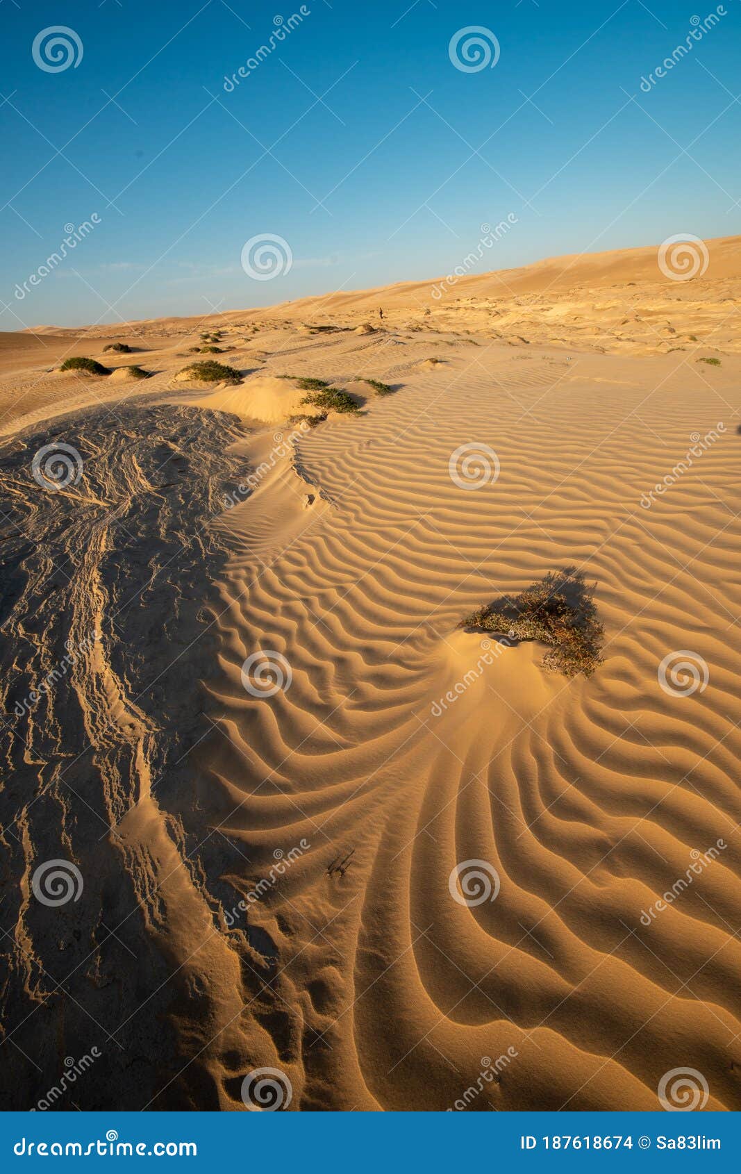 Desert Sand Dunes, Middle East, Oman Stock Photo - Image of sahara ...