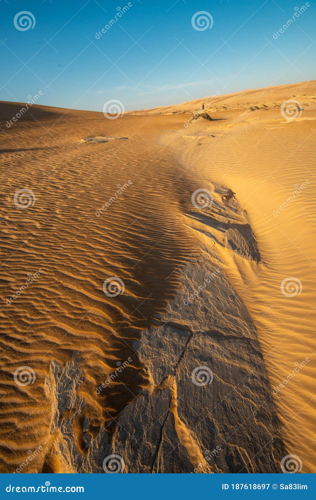 Desert Sand Dunes, Middle East, Oman Stock Image - Image of tents ...