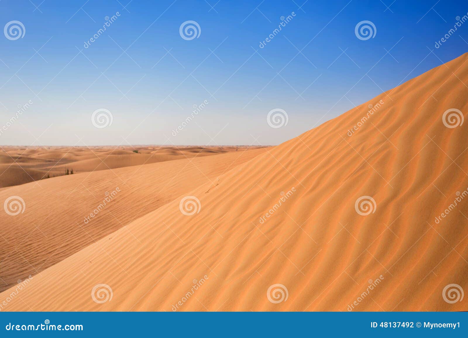 Desert sand hills stock photo. Image of dusk, famous - 48137492