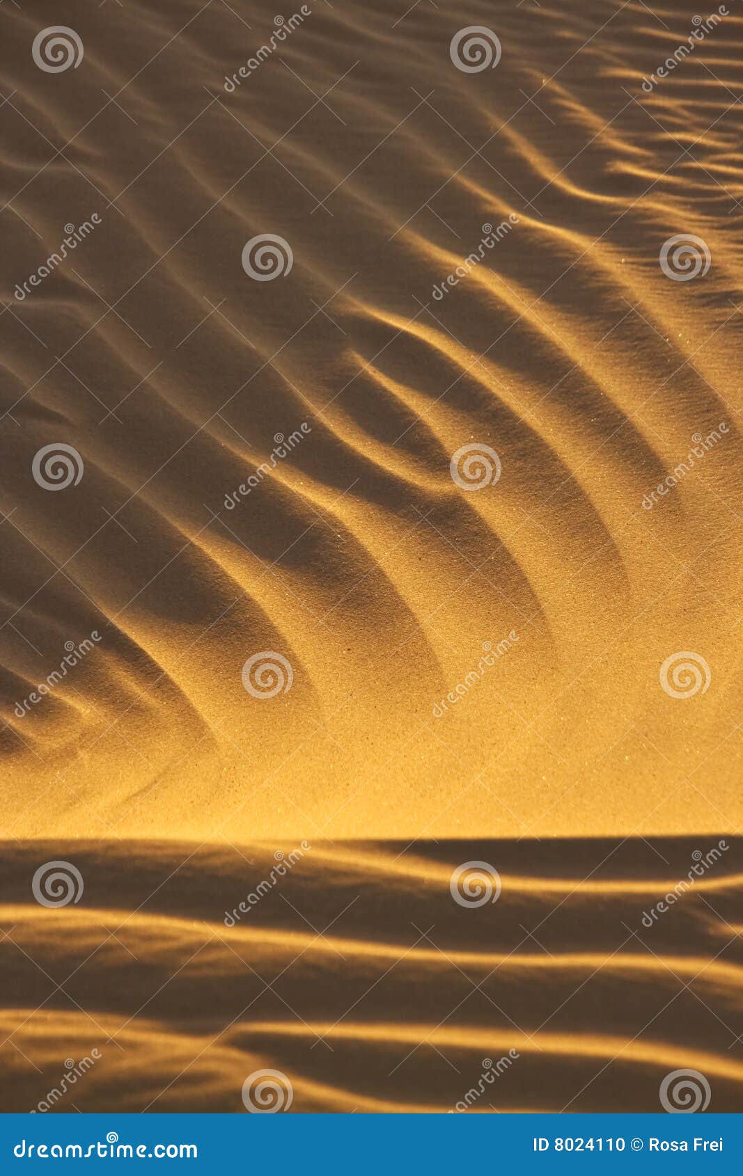 Desert sand pattern stock photo. Image of quest, pattern - 8024110
