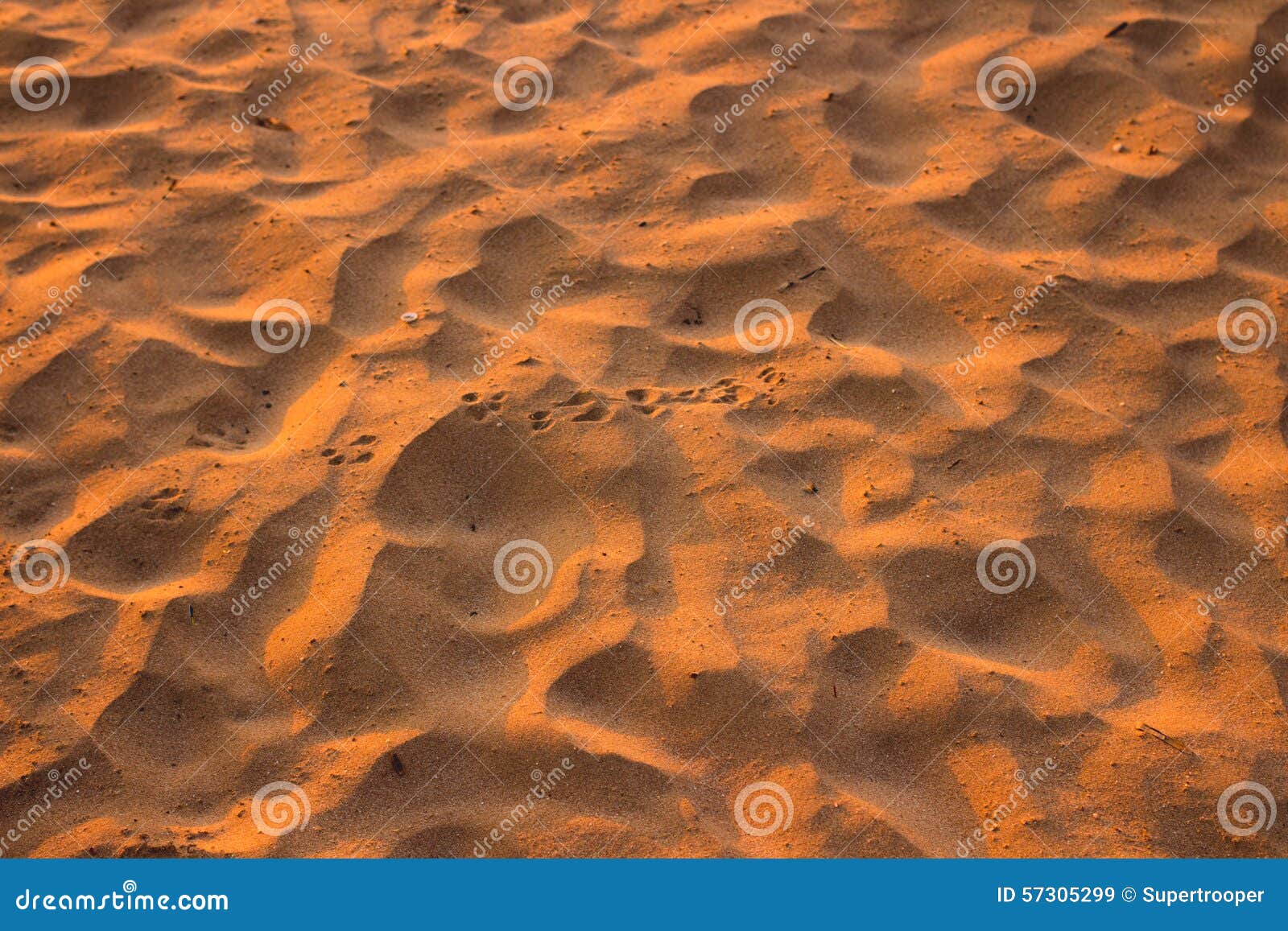 Desert Sand Pattern Texture Stock Image - Image of atacama, egypt: 57305299