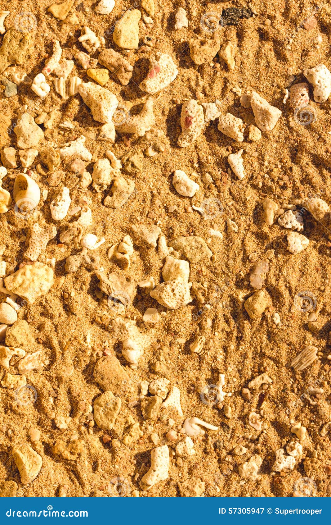 Desert Sand Pattern Texture Stock Image - Image of libyan, sands: 57305947