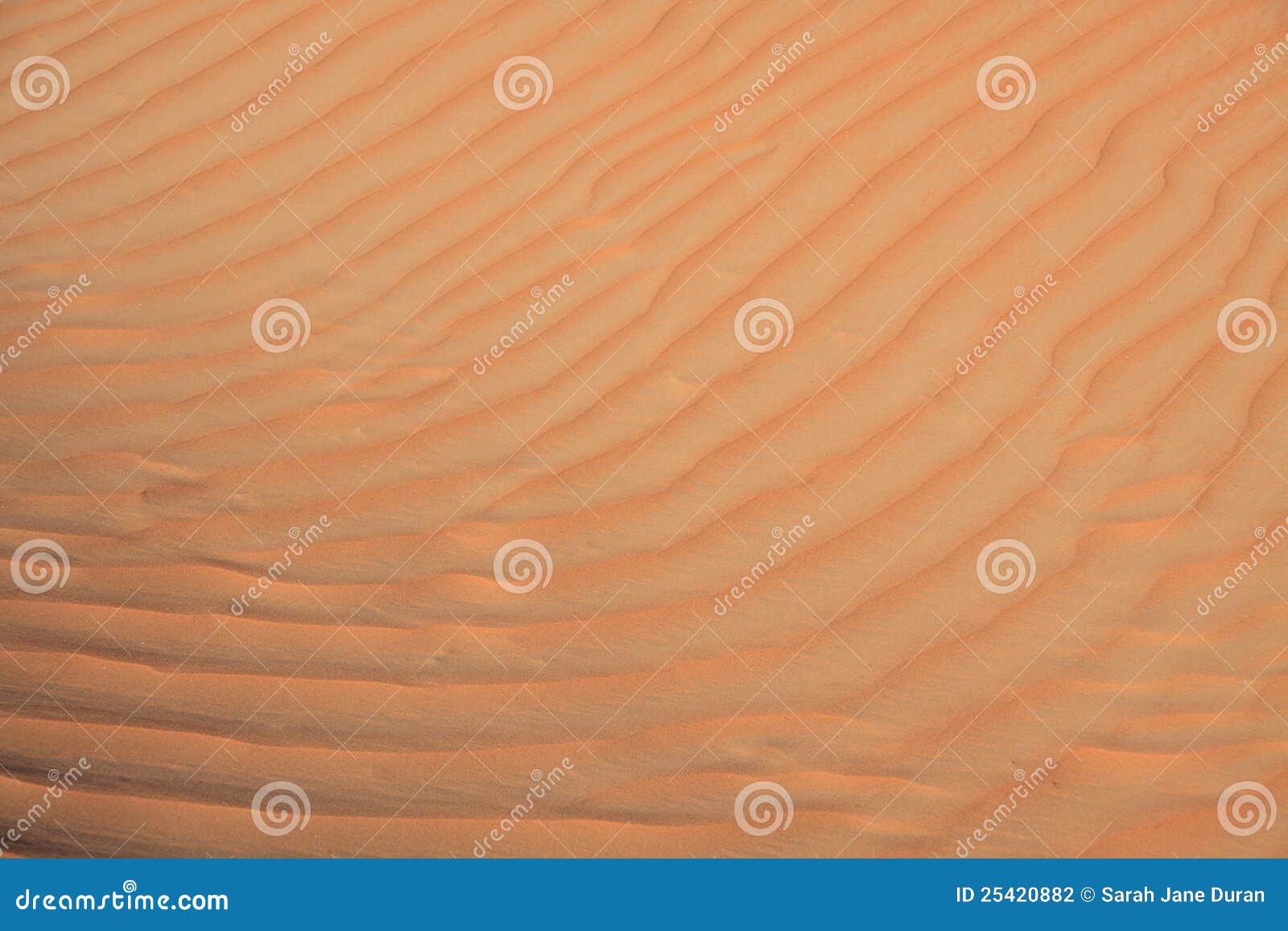 Desert Sand Ripples stock photo. Image of sand, bright - 25420882