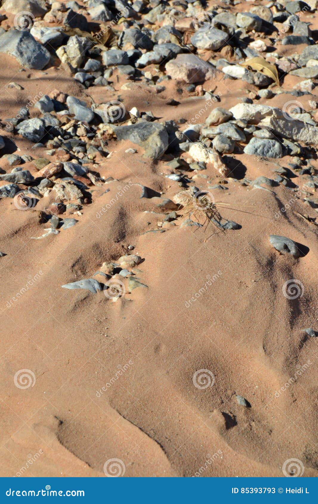 Desert Sand stock image. Image of beach, desert, smooth - 85393793