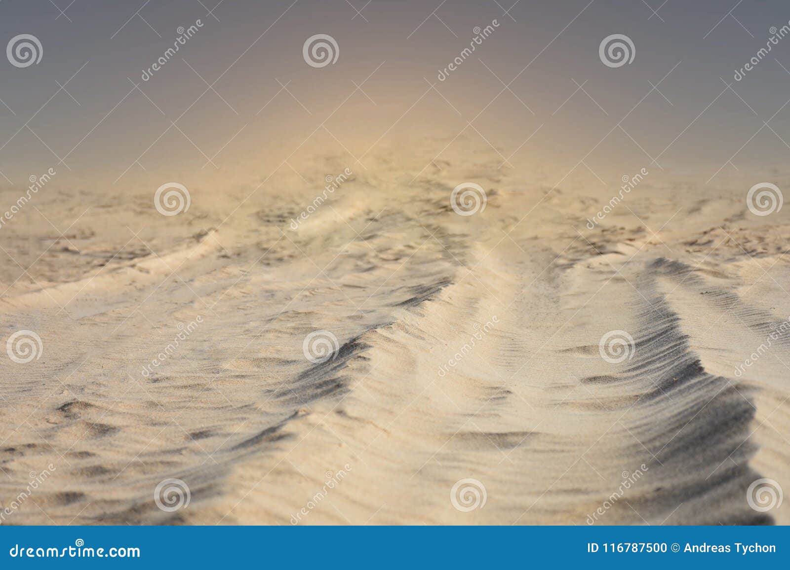 Desert sand storm stock photo. Image of uninhabited - 116787500