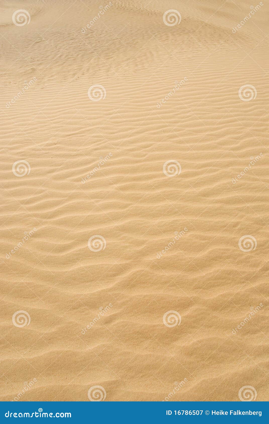 Desert Sand Texture stock image. Image of extreme, outdoor - 16786507