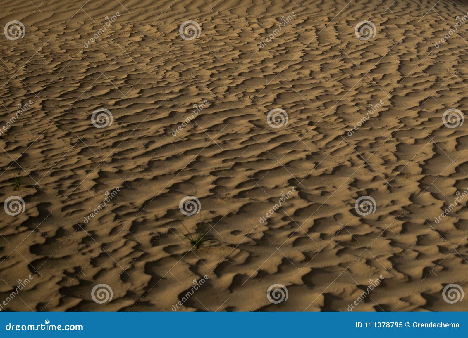 Desert sand texture stock image. Image of grit, hoggin - 111078795