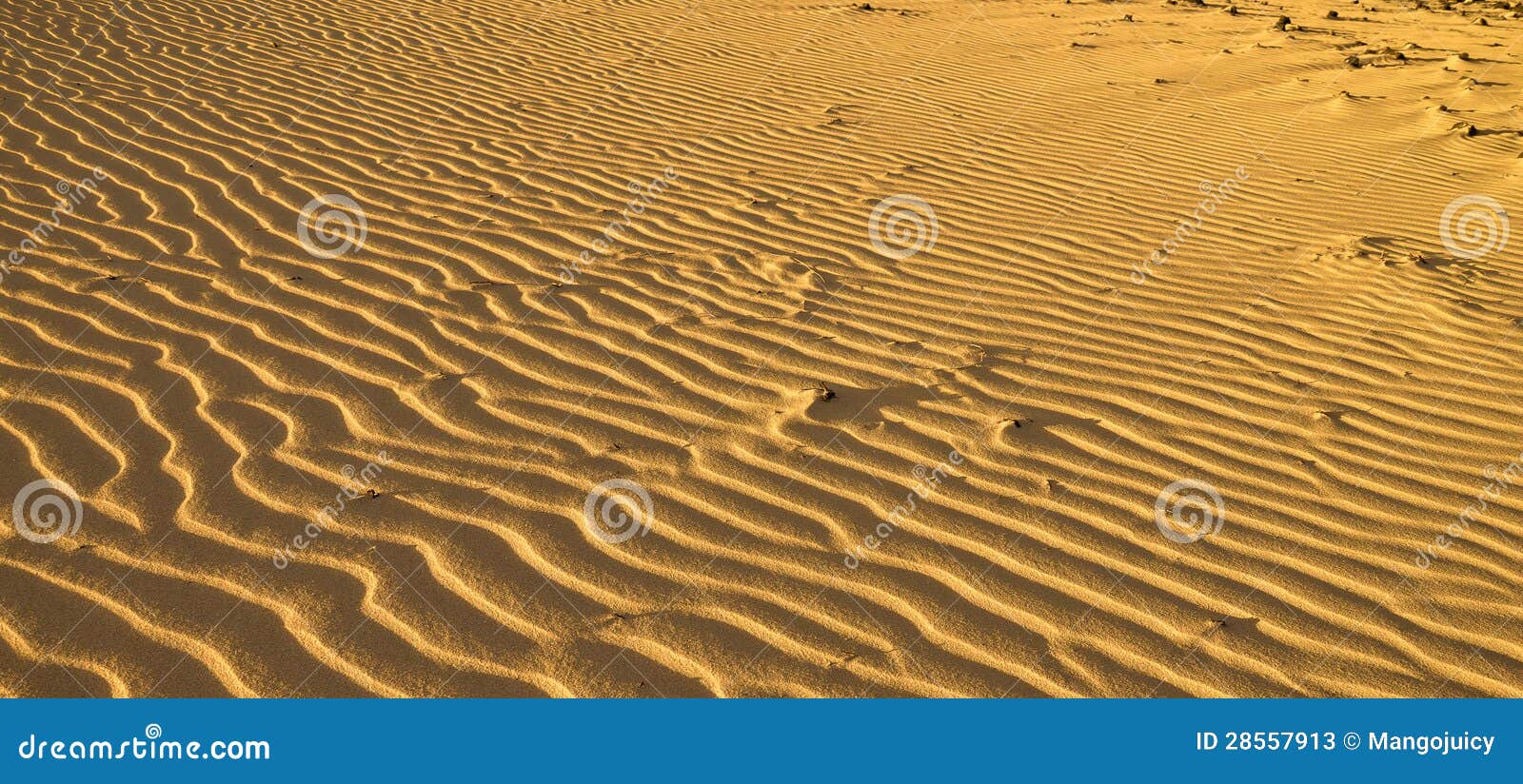 Desert sand waves texture stock image. Image of deserted - 28557913