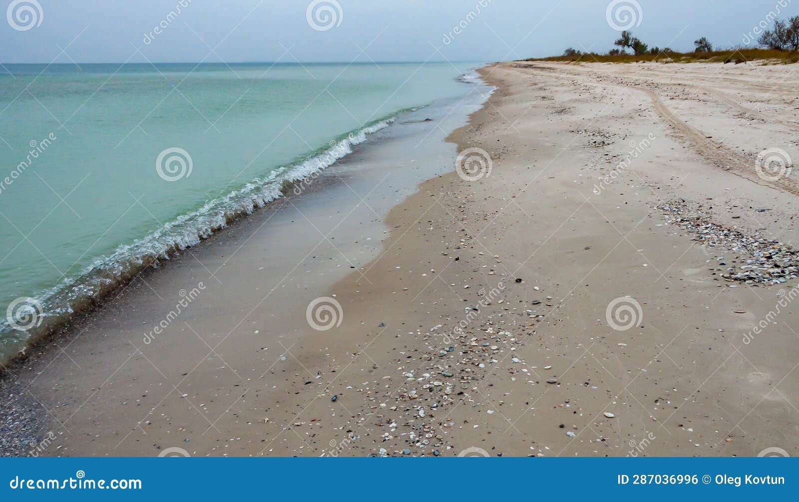 Desert Sandbar on Kinburn Spit, Protected Area, Ukraine Stock Photo ...