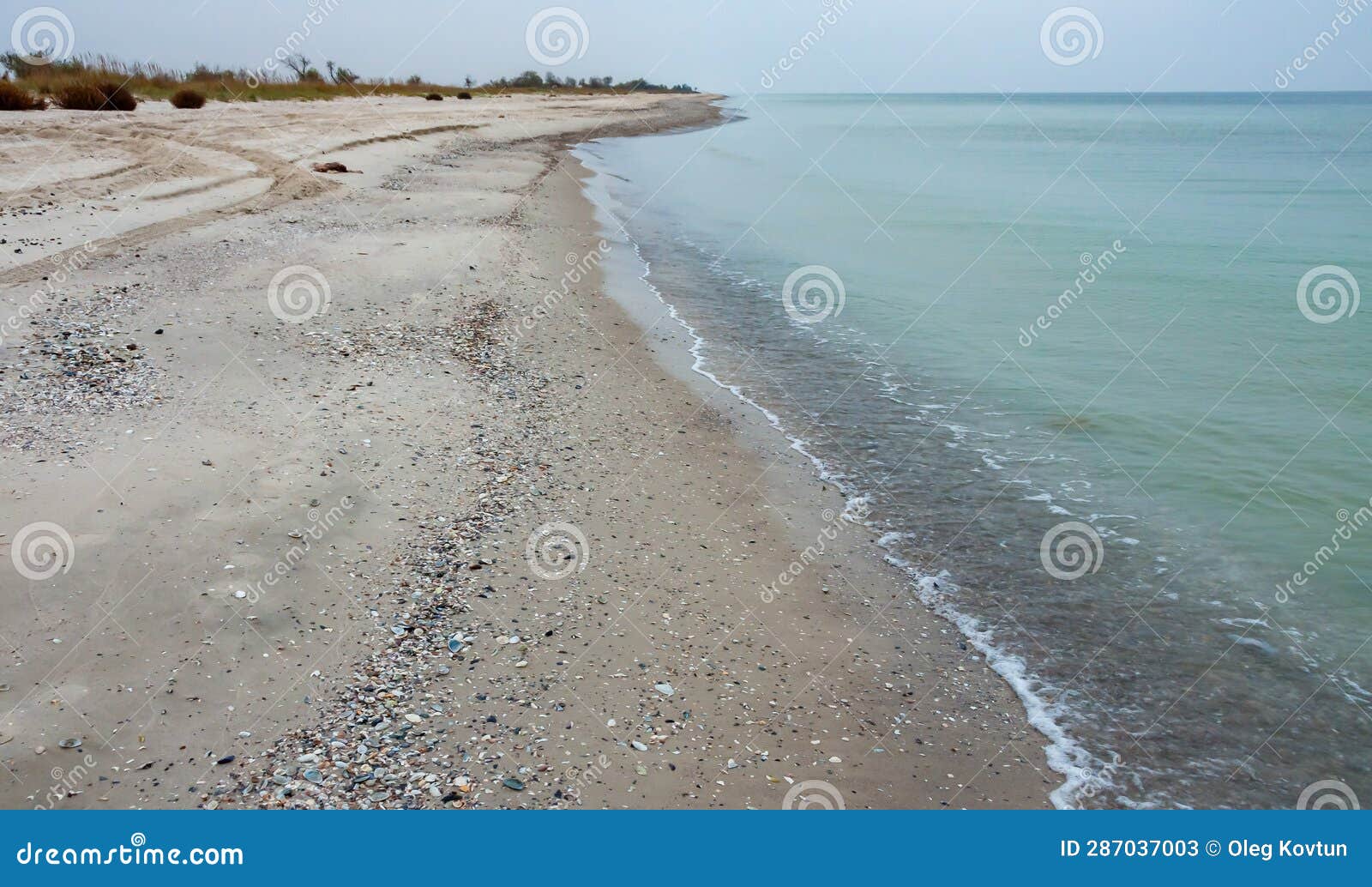 Desert Sandbar on Kinburn Spit, Protected Area, Ukraine Stock Image ...