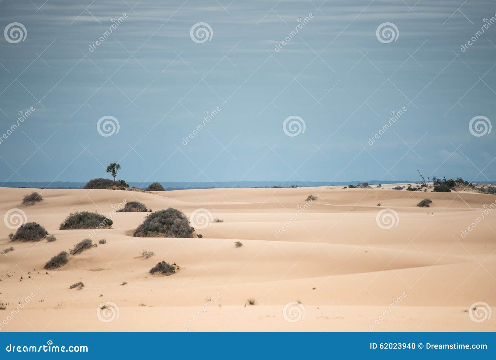 Desert sands stock photo. Image of beauty, australian - 62023940