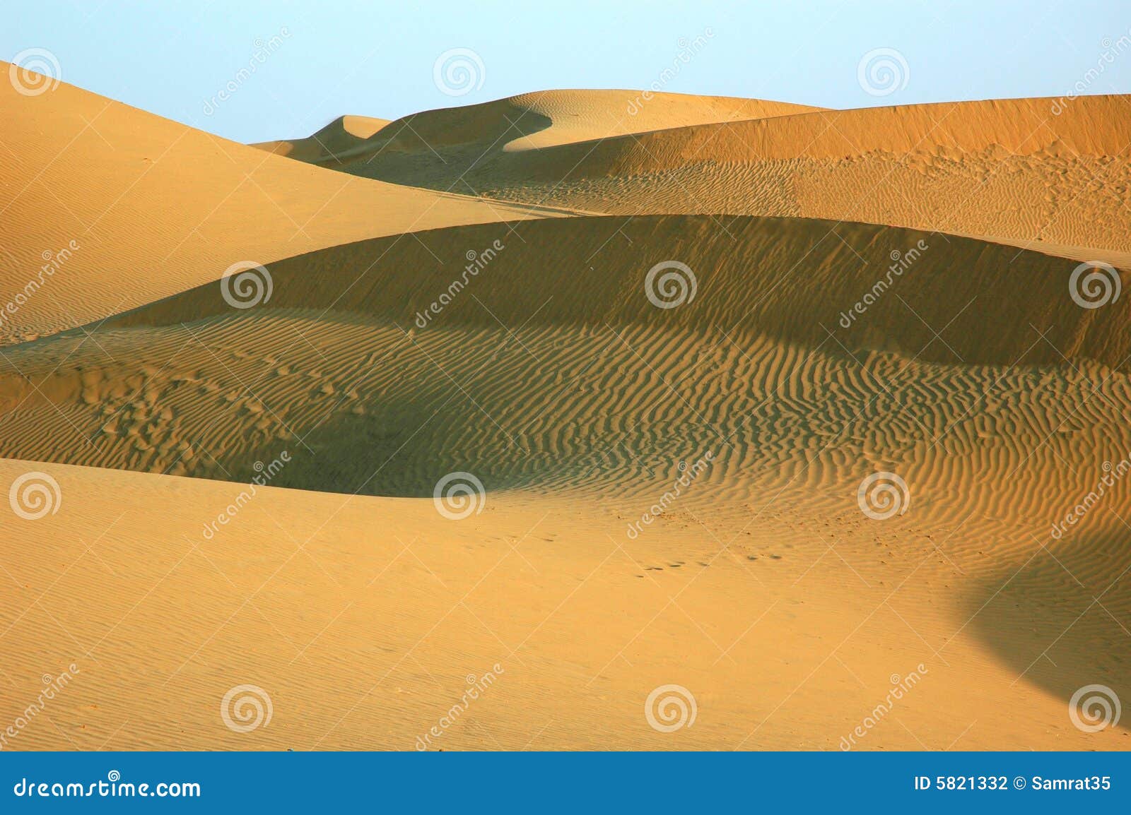 The desert sandunes. stock photo. Image of sandunes, nature - 5821332
