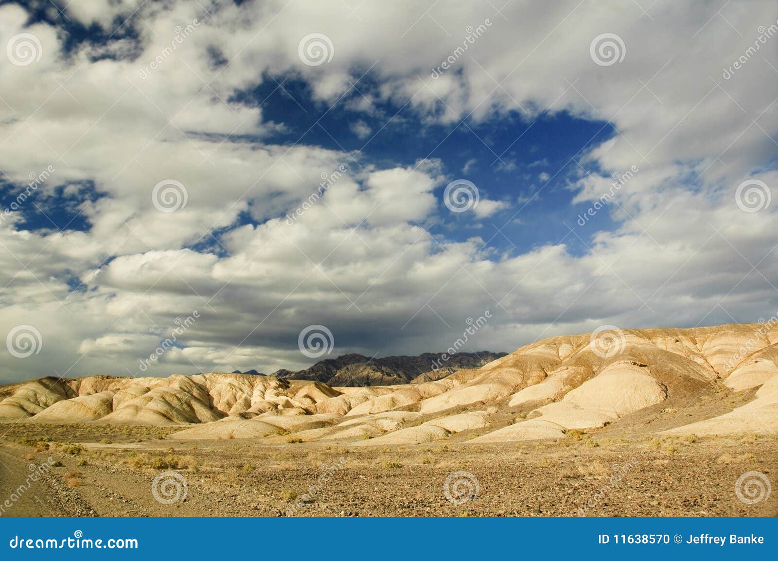 Desert scene stock photo. Image of sand, mountains, grass - 11638570