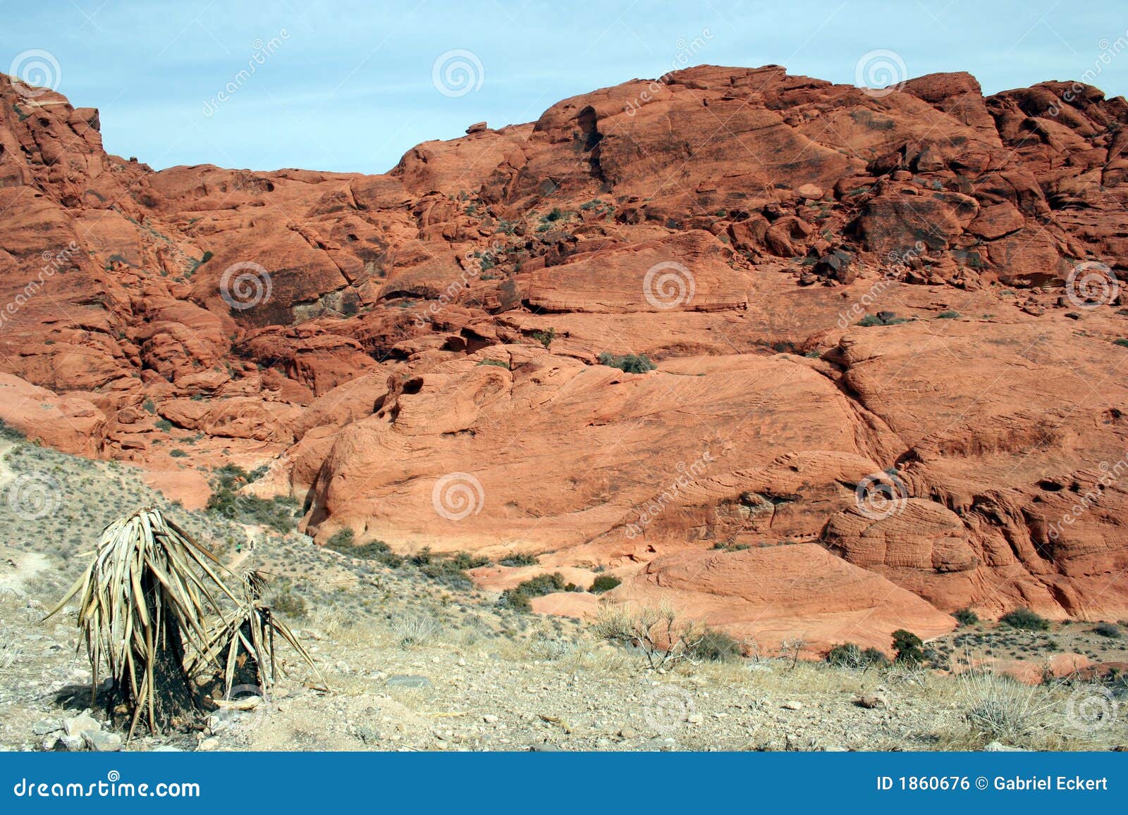 Desert Scene stock photo. Image of mountains, horizontal - 1860676