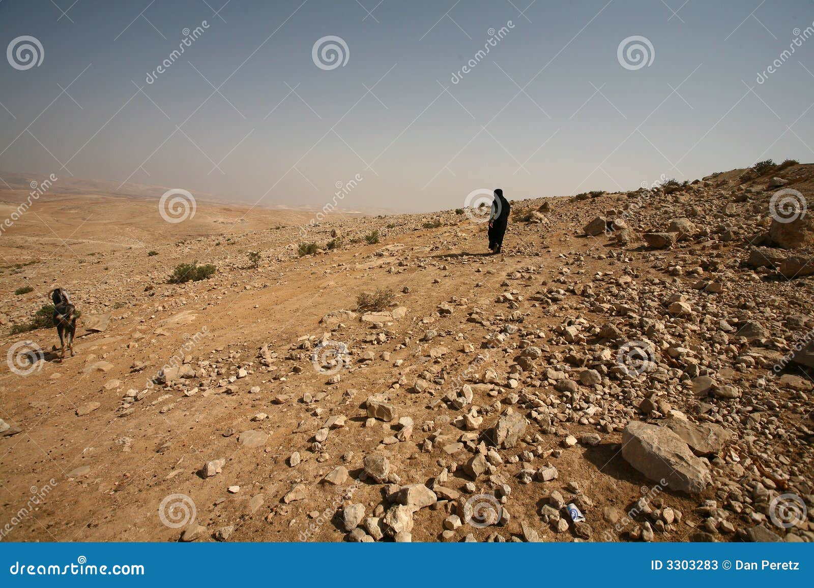 Desert scene stock image. Image of summer, outdoor, herd - 3303283