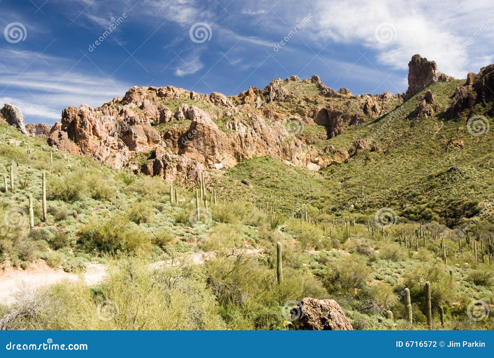 Desert scene stock photo. Image of scenic, dirt, landscape - 6716572
