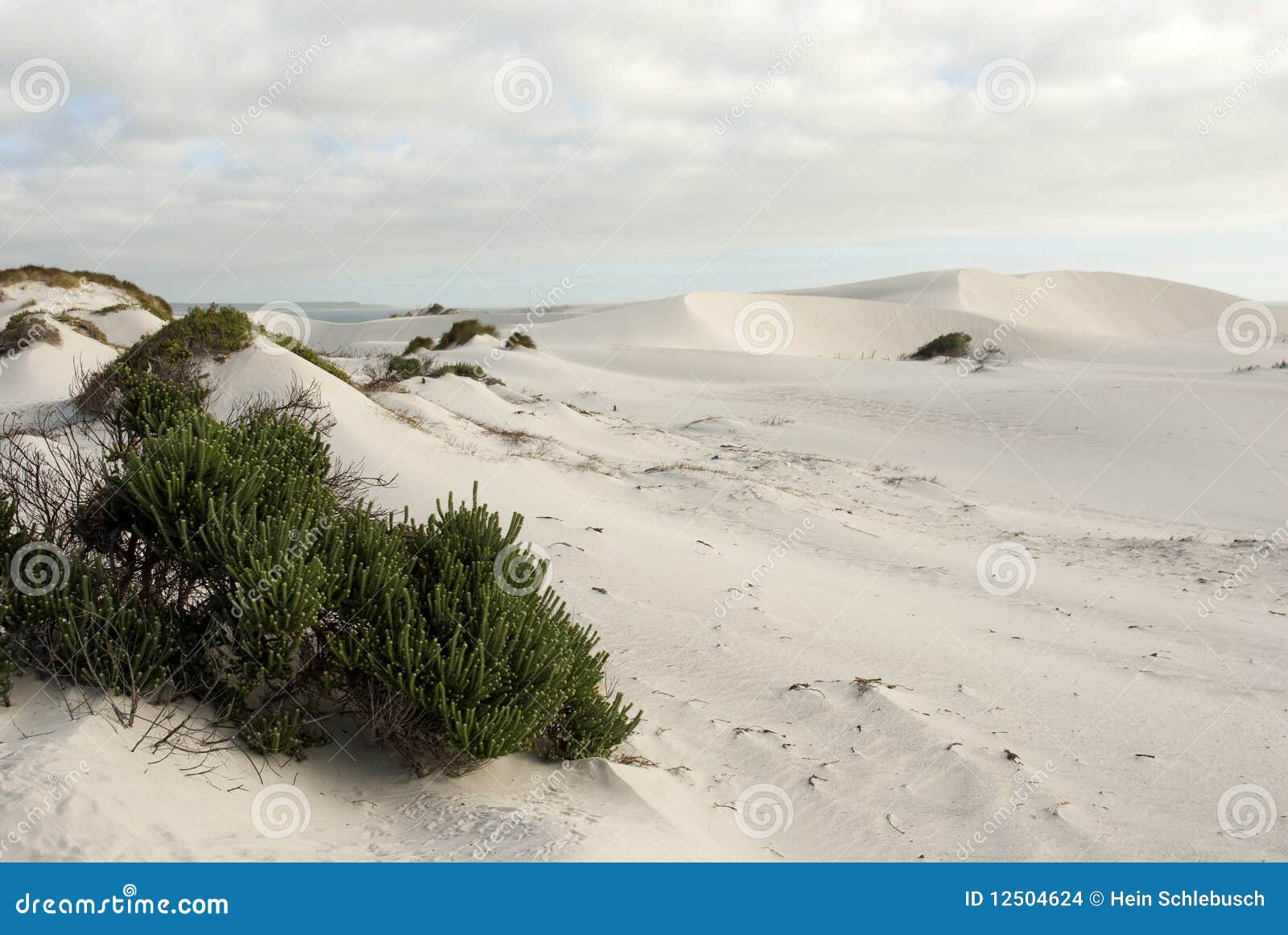 3,375 Desert Overhead Stock Photos - Free & Royalty-Free Stock Photos ...